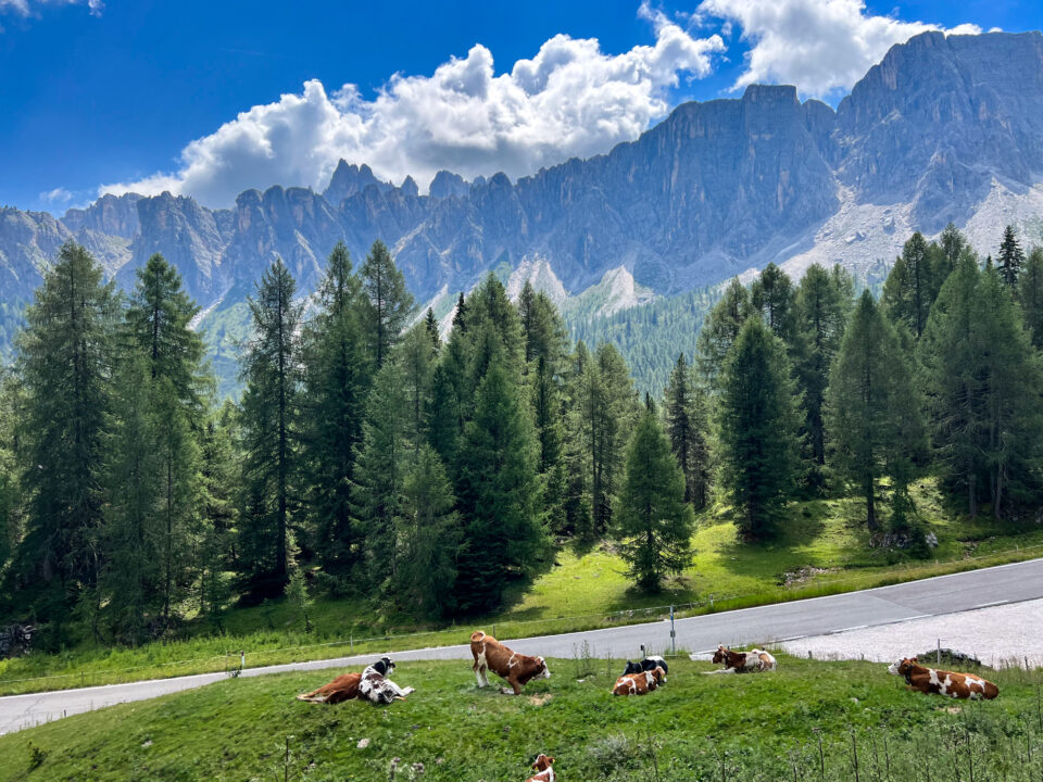 Passo Giau: The Most Feared Climb in Italy’s Dolomites - Alter Exploration